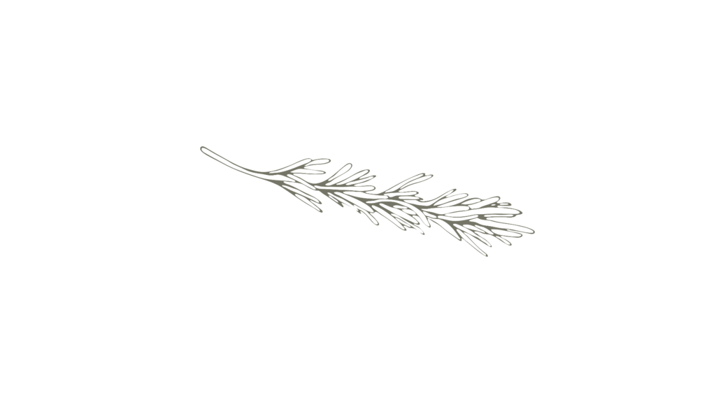 20 wedding poses for introverts to elevate your photography ...